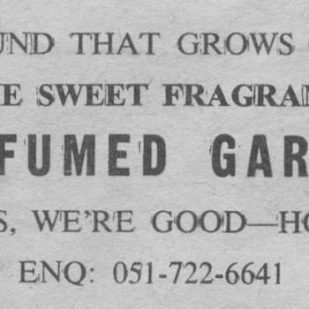 Perfumed Garden – British Music Archive